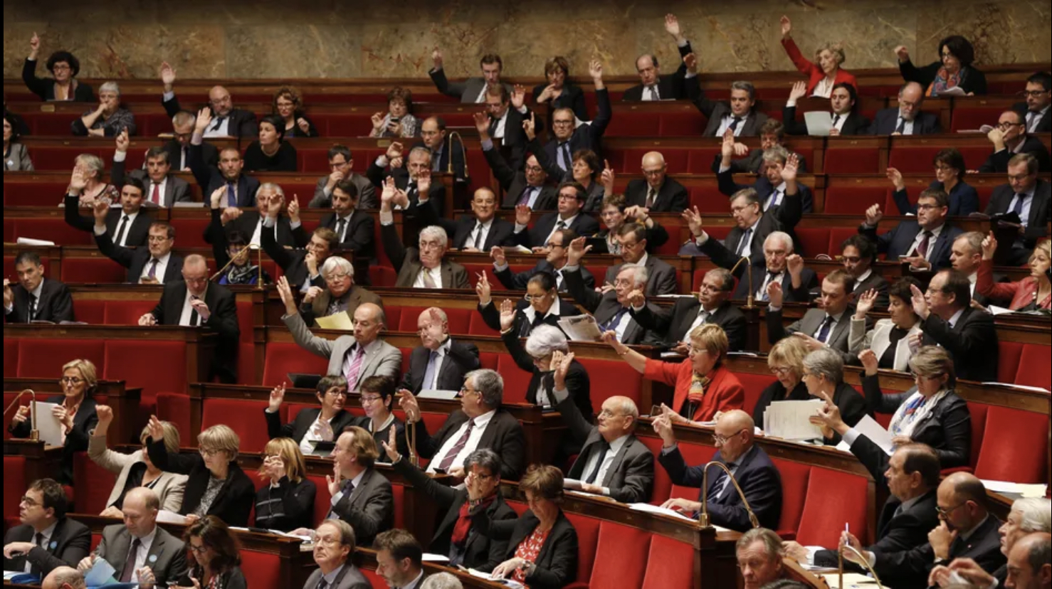 A quoi servent les députés ? - Action française
